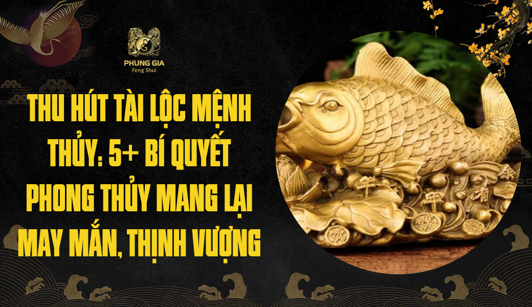 Thu hút tài lộc mệnh Thủy: 5+ Bí quyết phong thủy mang lại may mắn ...